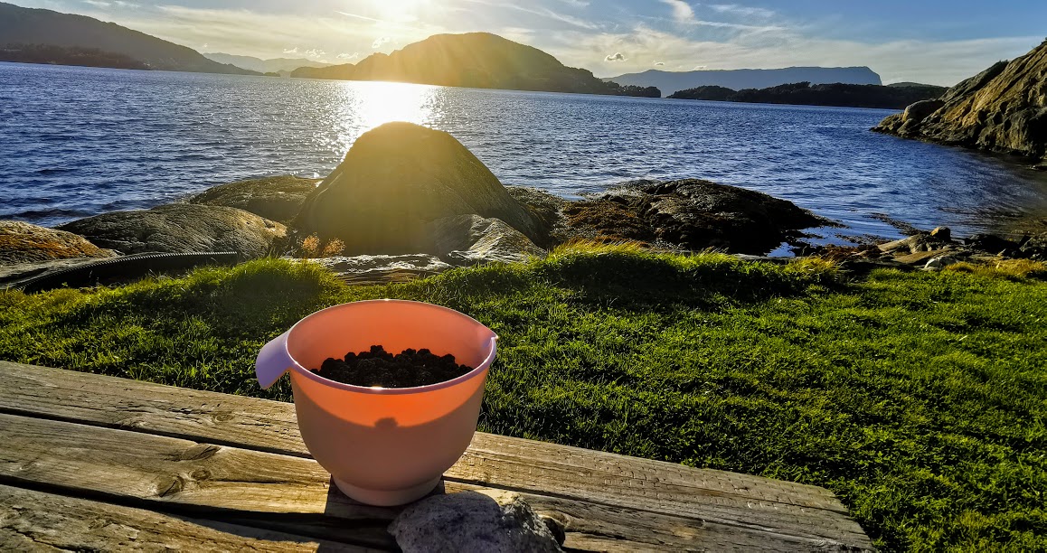 Bjørnebær år? – anitasboble